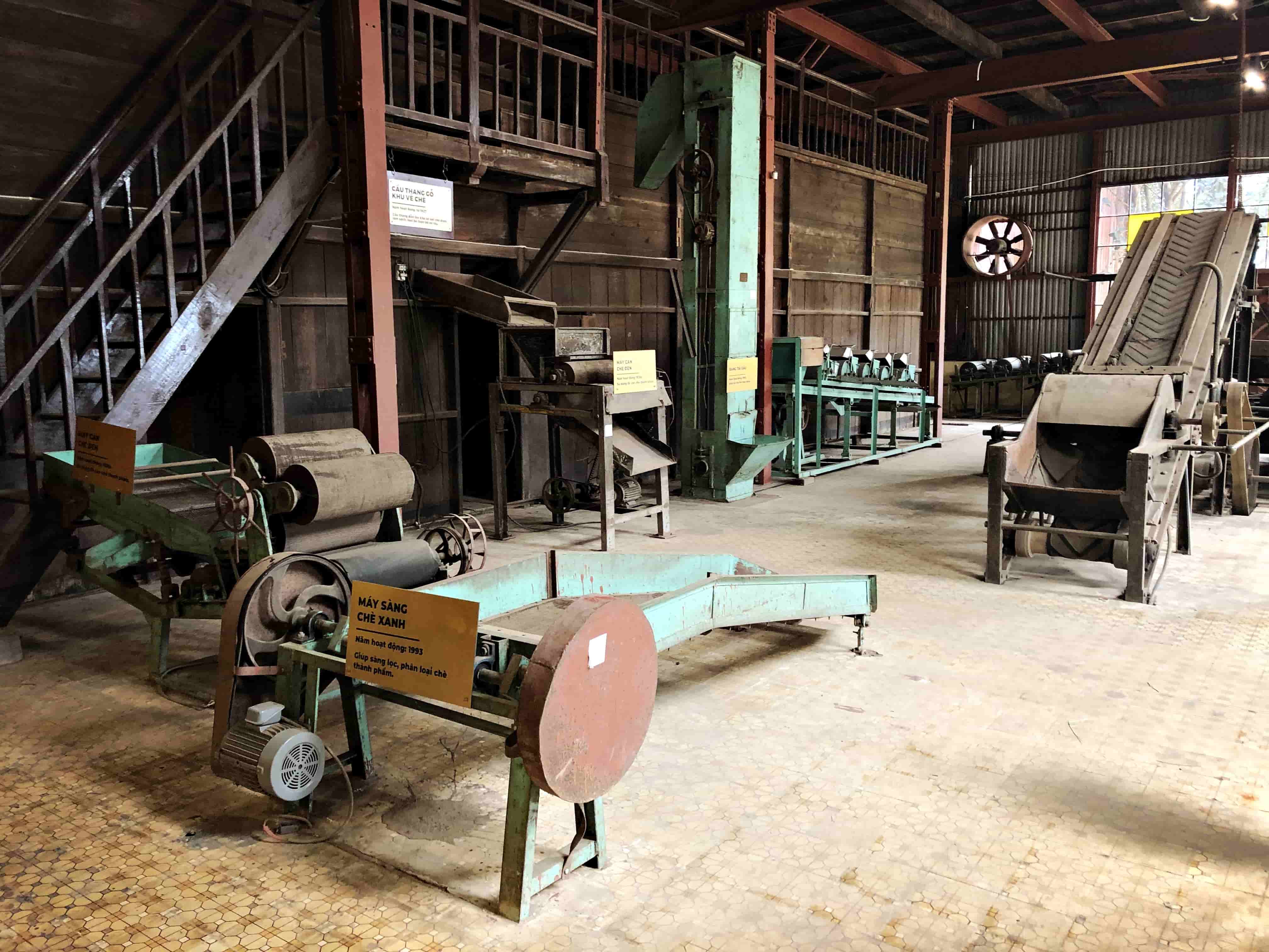 Cau Dat Farm is where sweet memories are made - JPTraveltime